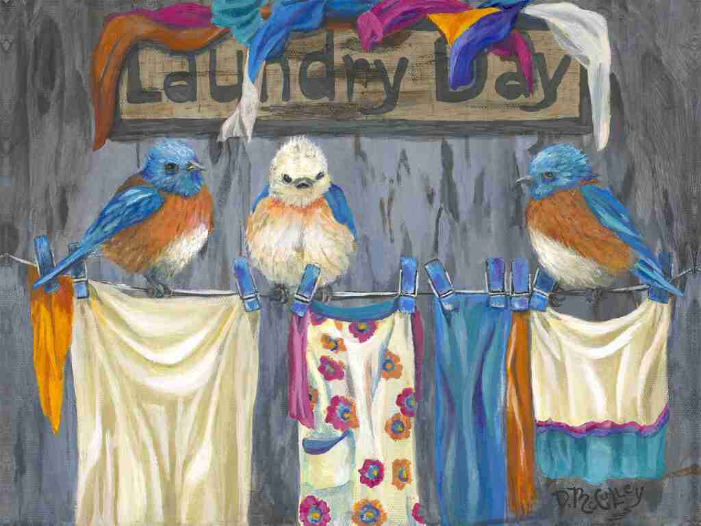 Clothesline Conversations - Debbie McCulley, Artist